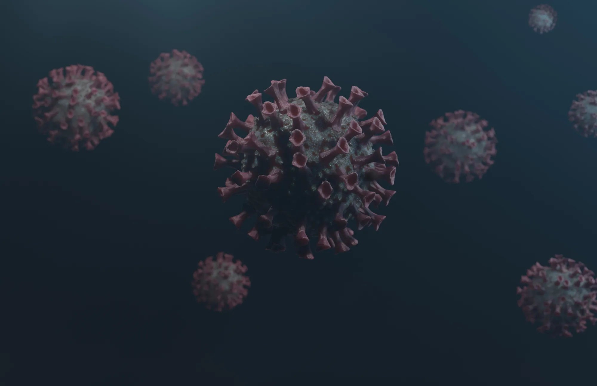 Omni-Biotics' Probiotic Collection for Gut Health in 2024